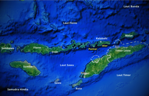 Polisi Tembak "Makhluk Asing" Berkali-kali di Pulau Alor, Peluru Tidak ...