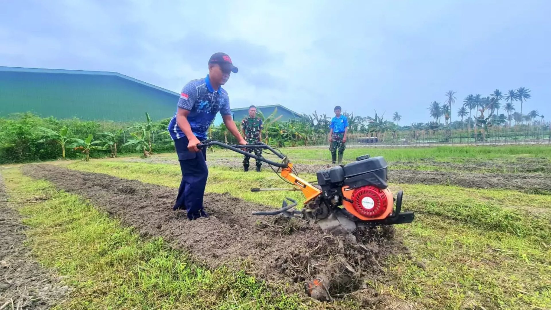 Ketahanan Pangan: Lanud Raden Sadjad Natuna Garap RSA Farm, Tanam Macam ...